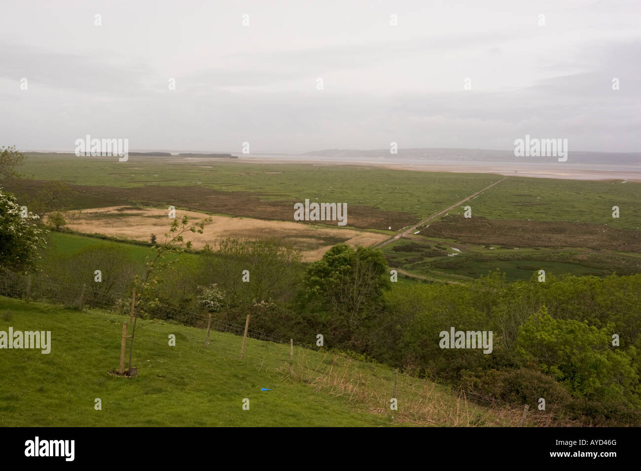 Weobley Castle Llanrhidian Marsh Gower Peninsula Wales View from castle ...