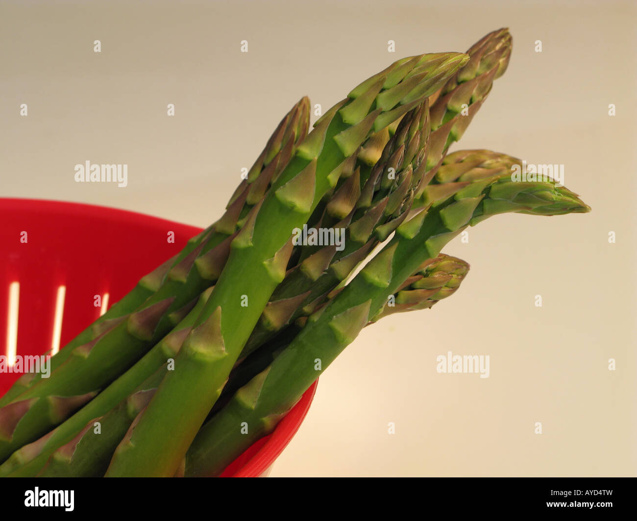 Asparagus in a red collander Stock Photo - Alamy