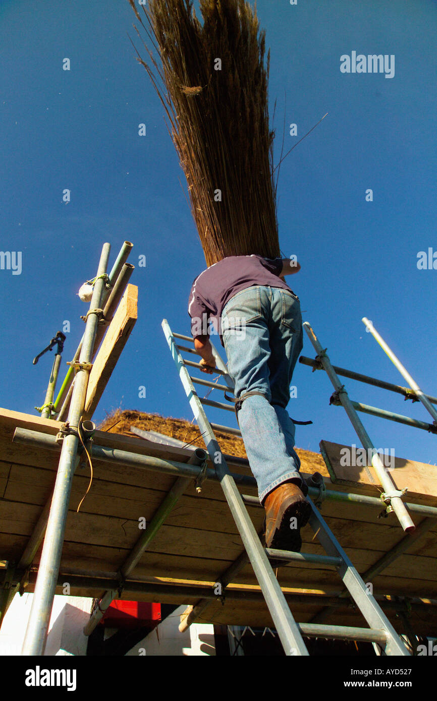 Thatched roof installation Stock Photo - Alamy