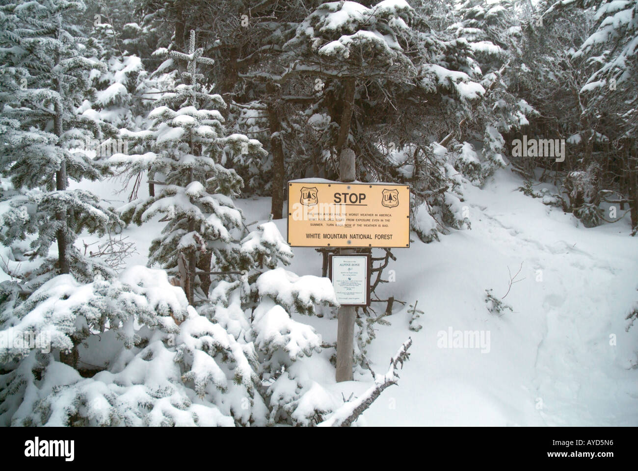 STOP WARNING Sign located located on Lowe s Path in the White Mountain ...