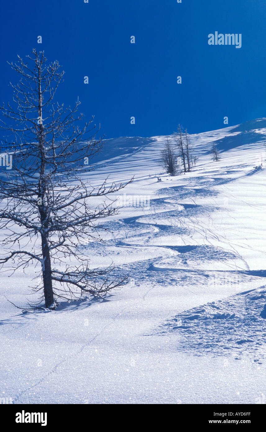 Tracks across deep powder snow Chamonix area of France Stock Photo - Alamy