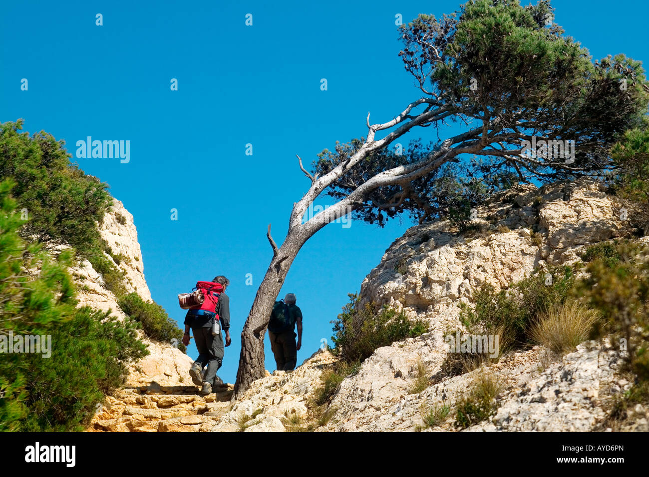 CALANQUES - COTE BLEUE - MARSEILLE - PROVENCE - FRANCE Stock Photo - Alamy