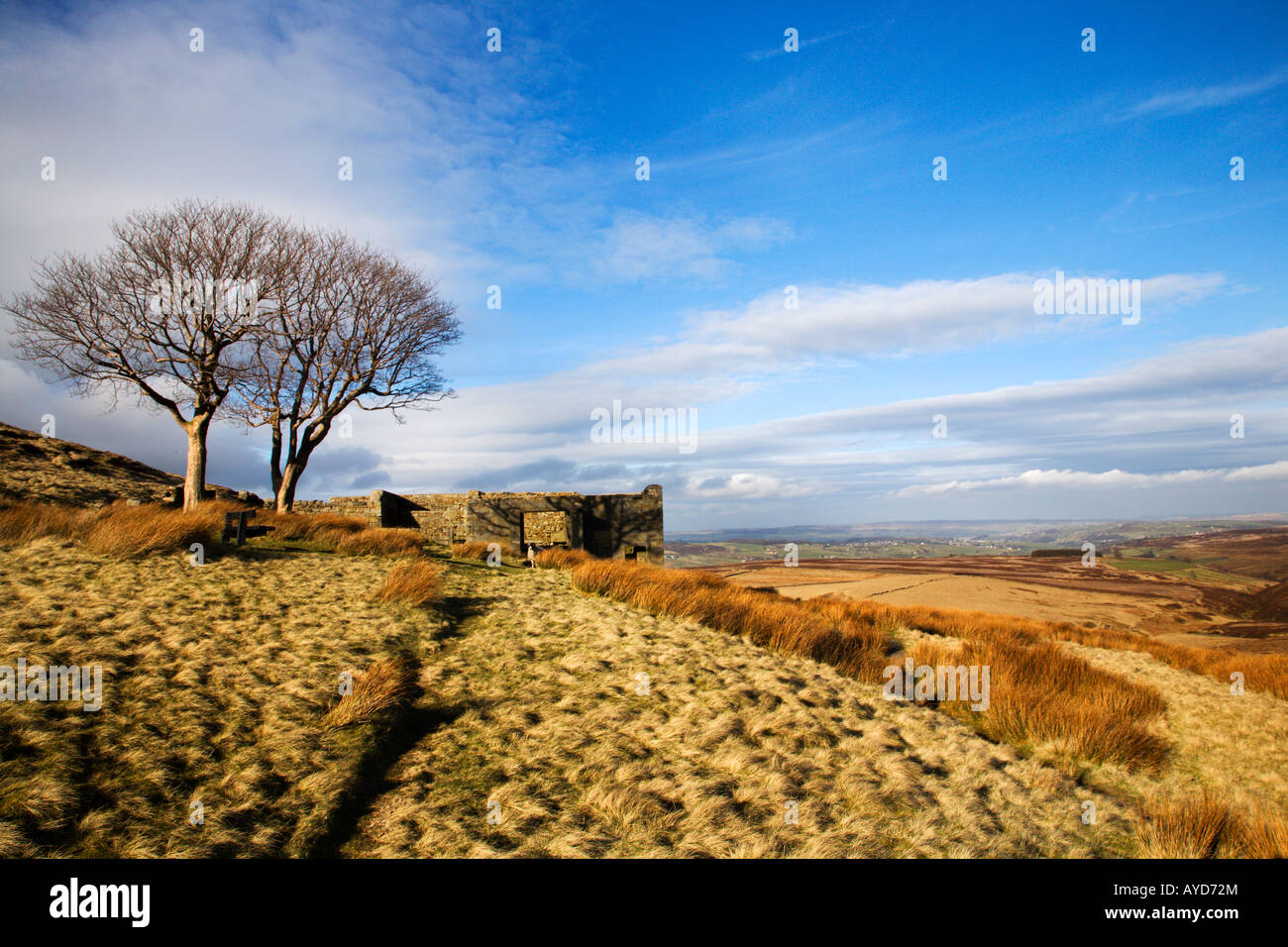 The Bronte Way at Top Withins Haworth Moor West Yorkshire England Stock ...