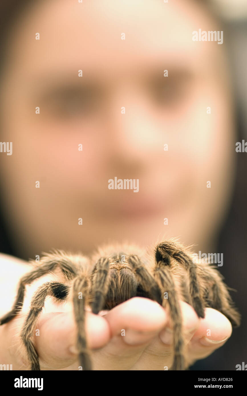 Creep rose hi-res stock photography and images - Alamy