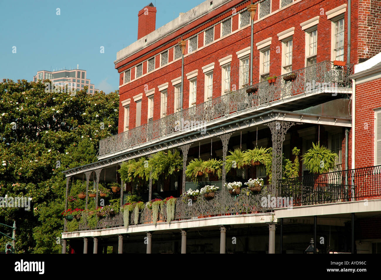 New Orleans LA Louisiana French Quarter building with iron balcony ...
