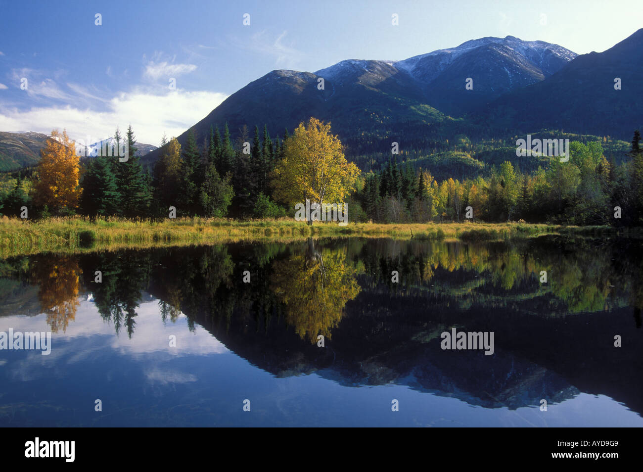 Kenai Mountains in autumn with forest in fall colours reflection in ...