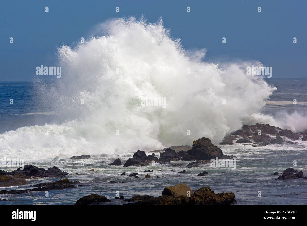 waves titsikamma coast Stock Photo - Alamy