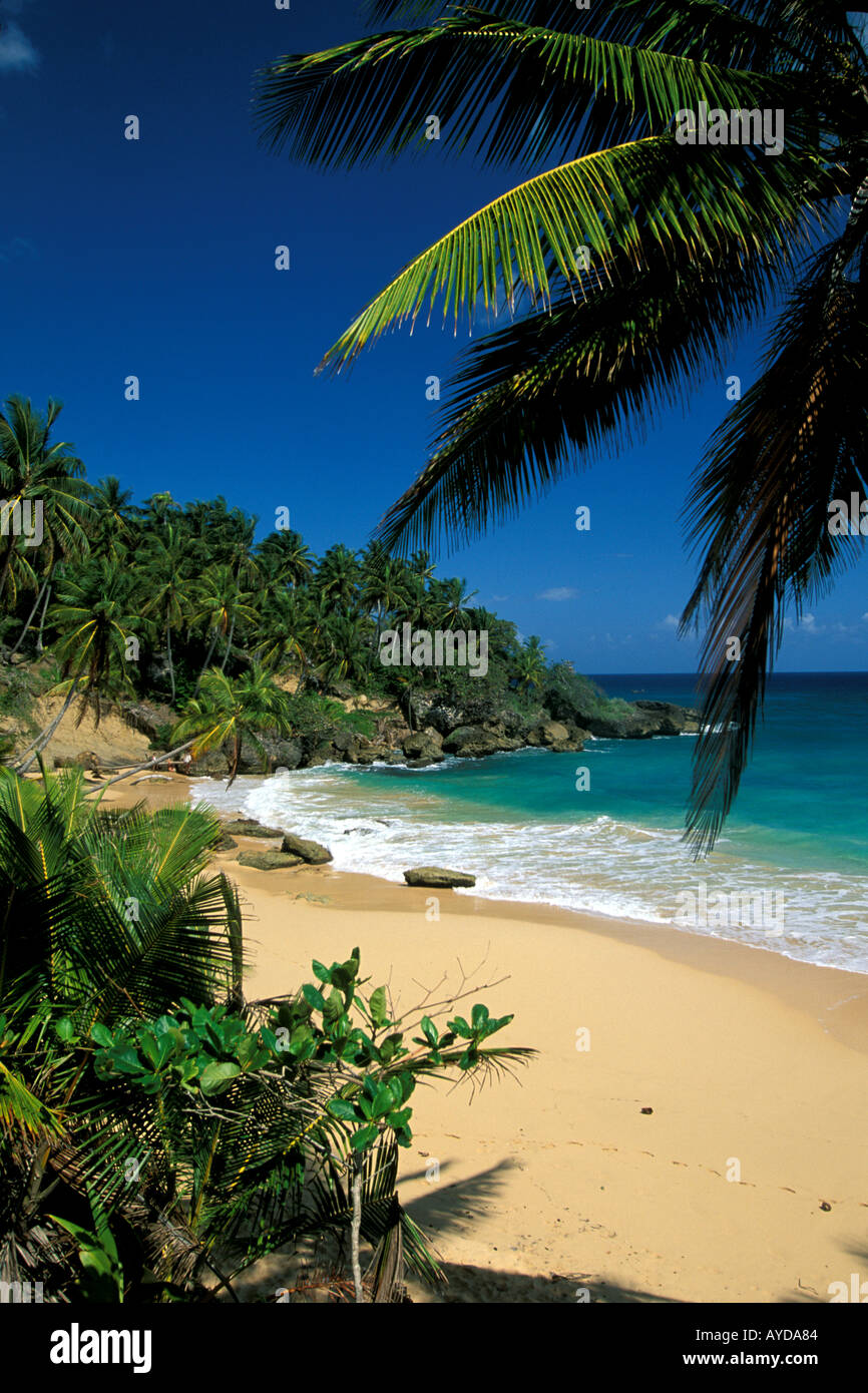 Dominican Republic beach Playa Grande Stock Photo - Alamy