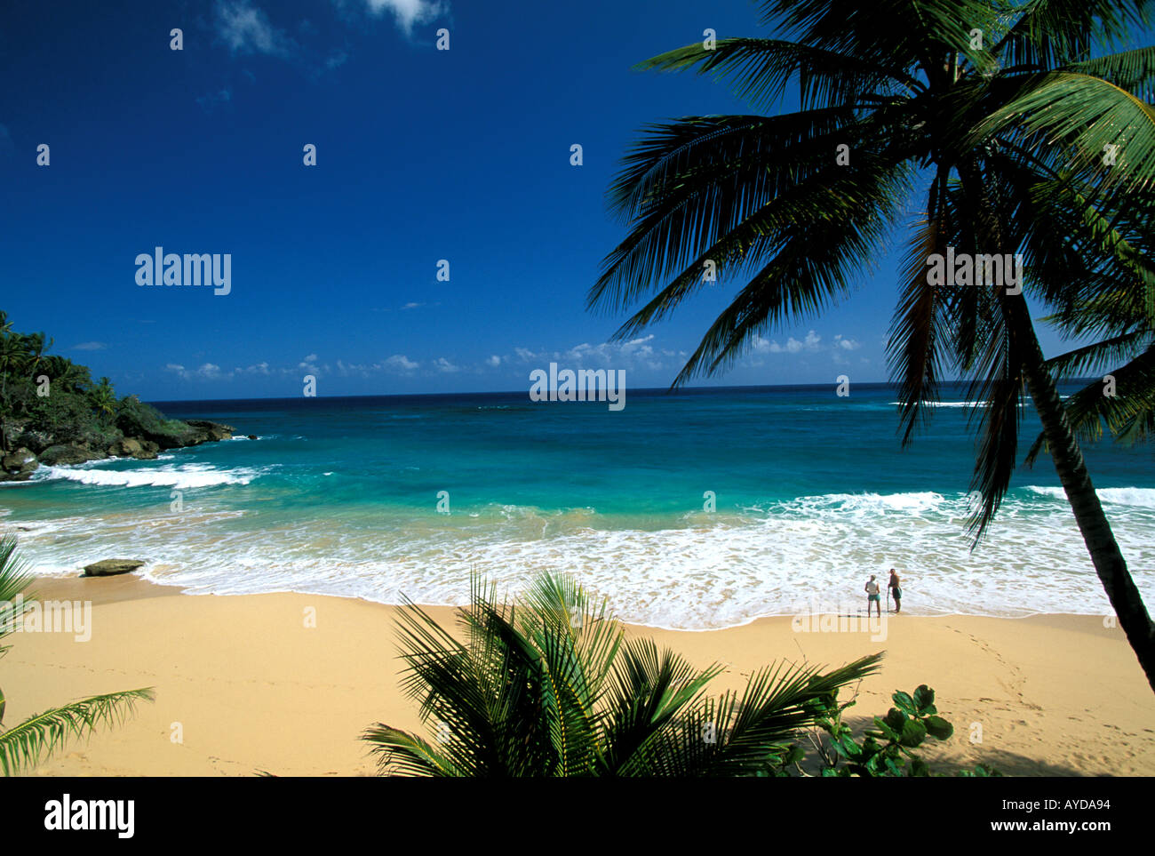 Dominican Republic beach Playa Grande Stock Photo - Alamy