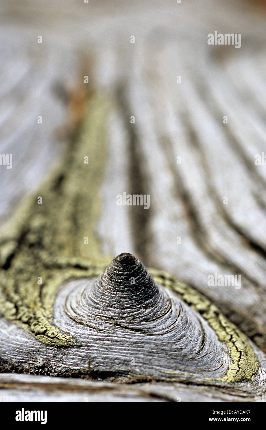 Knarled wood hi-res stock photography and images - Alamy