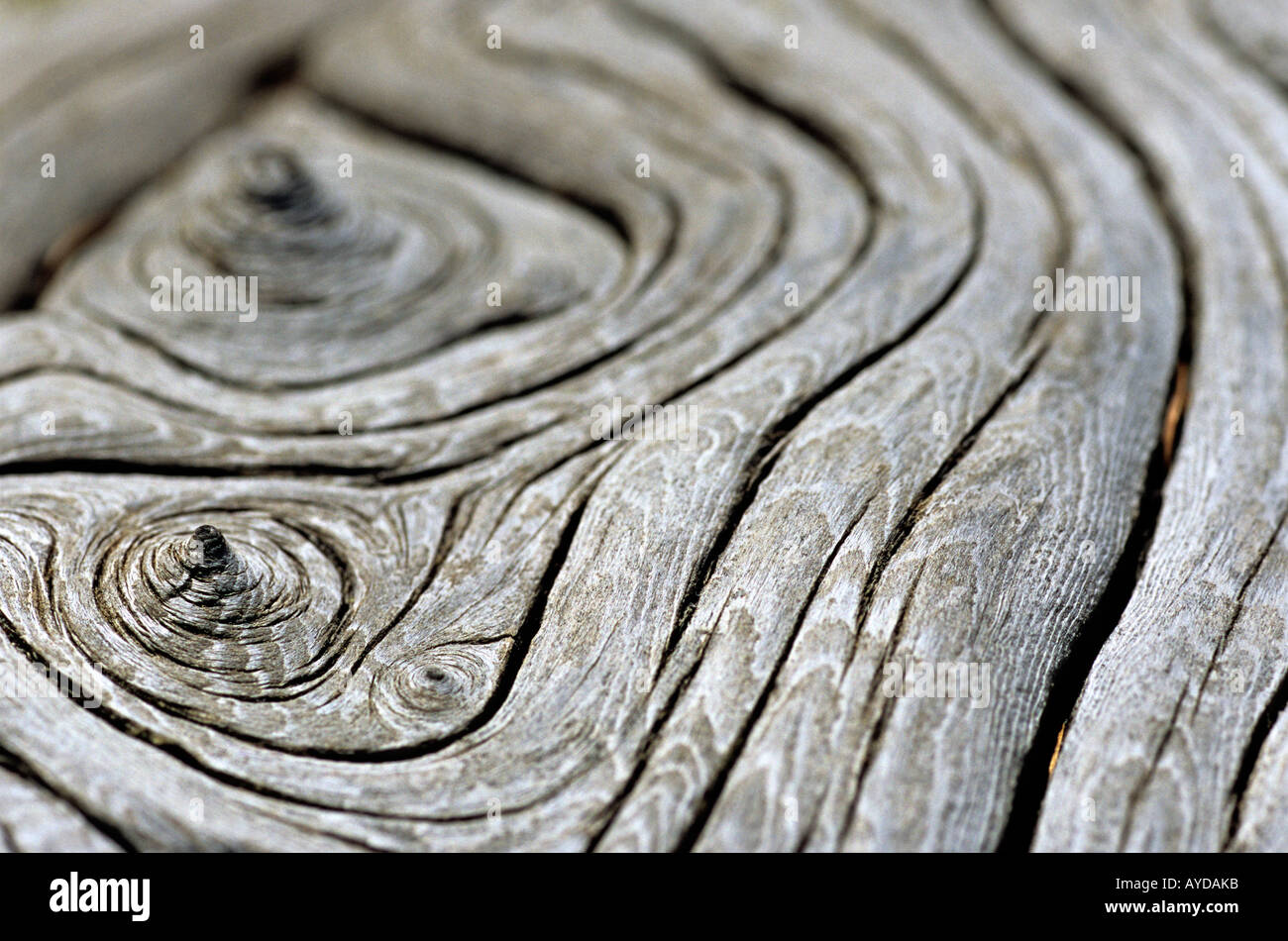Knarled wood hi-res stock photography and images - Alamy