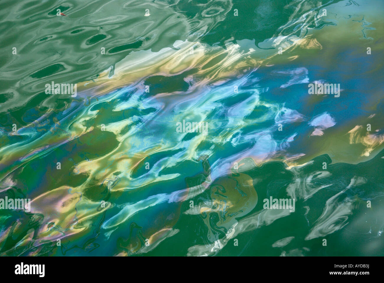 Oil still leaking from the USS Arizona rises around the Memorial and is ...