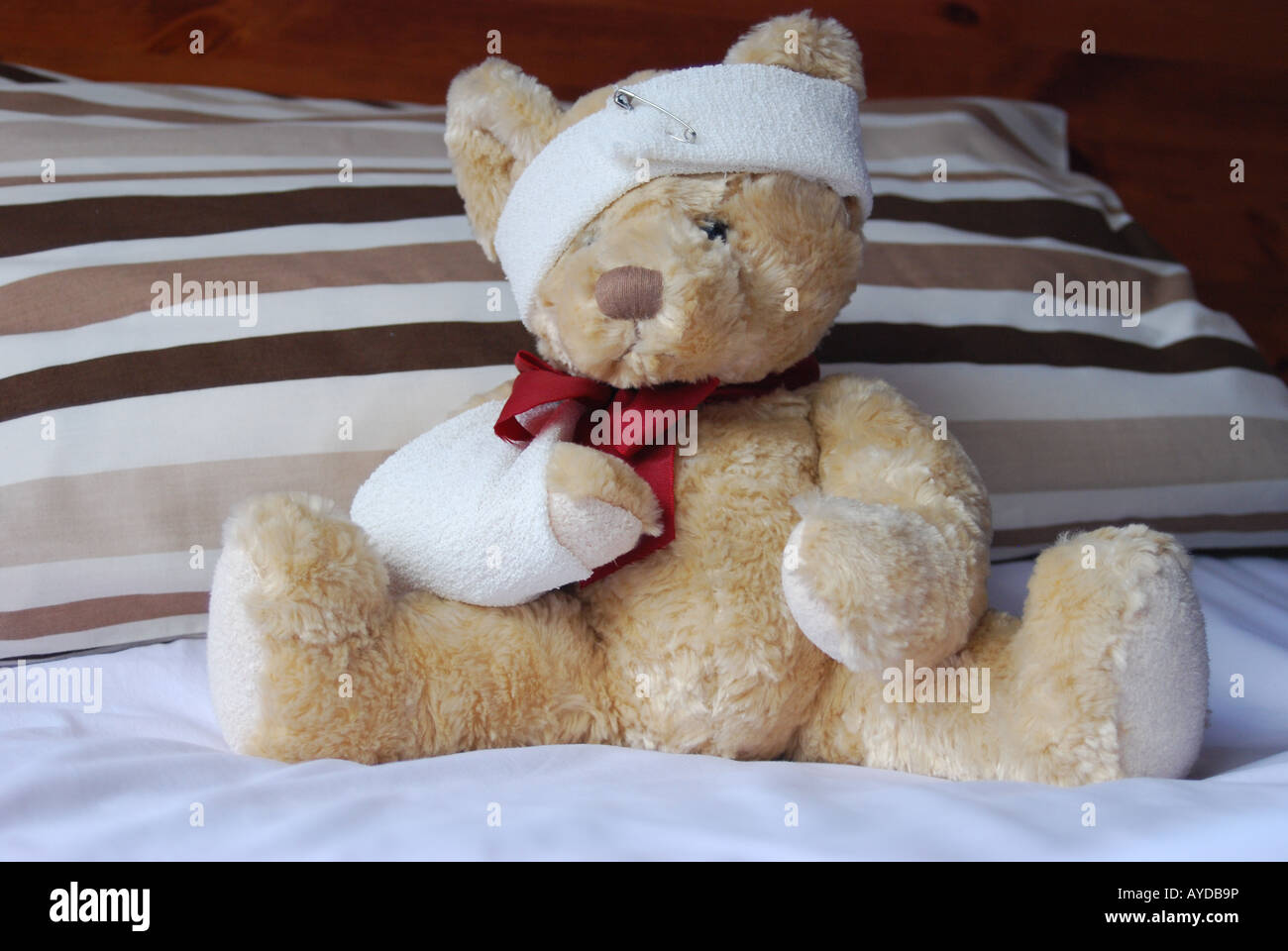 Teddy bear in bandages Stock Photo - Alamy