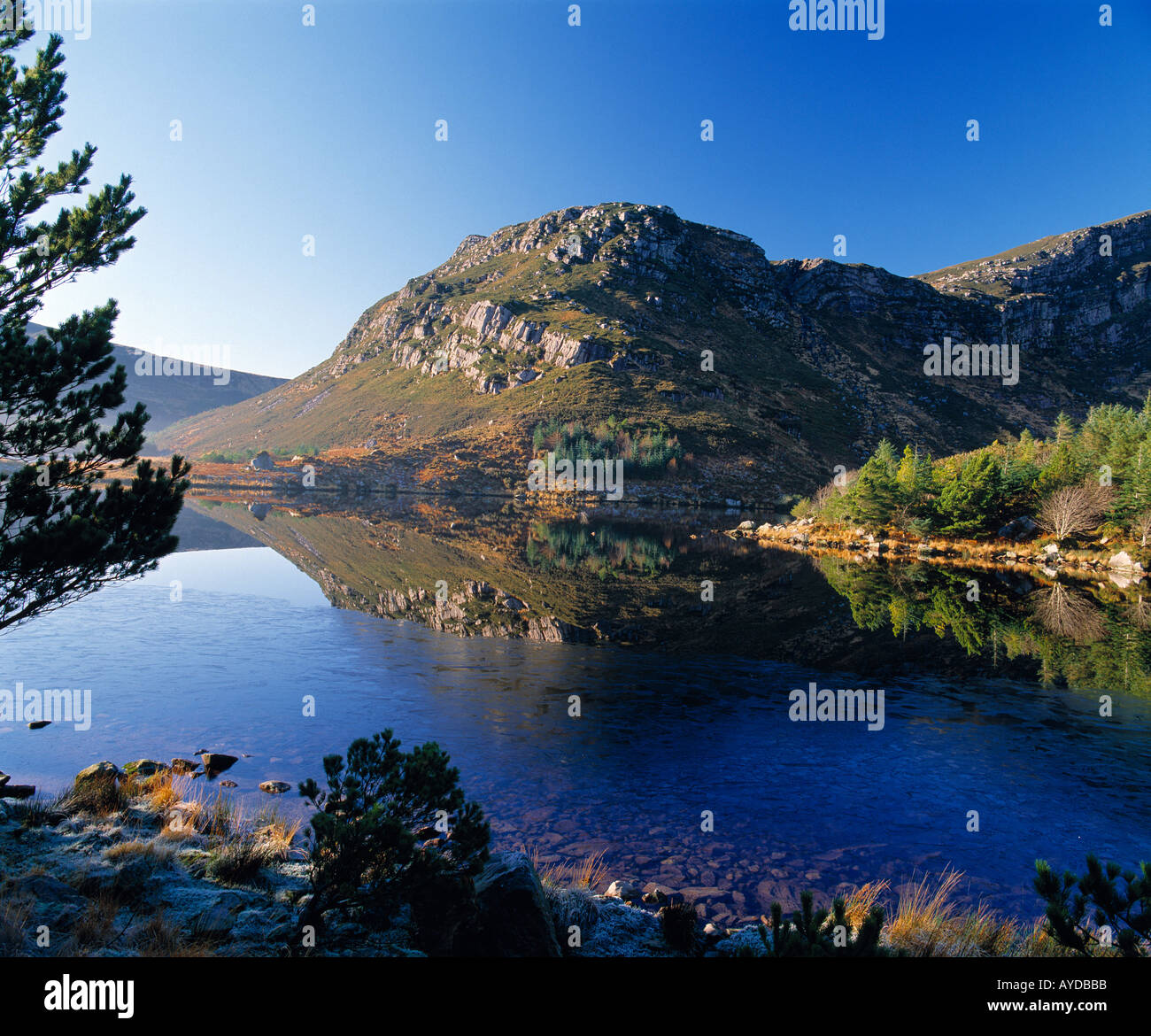 Irish countryside frost hi-res stock photography and images - Alamy