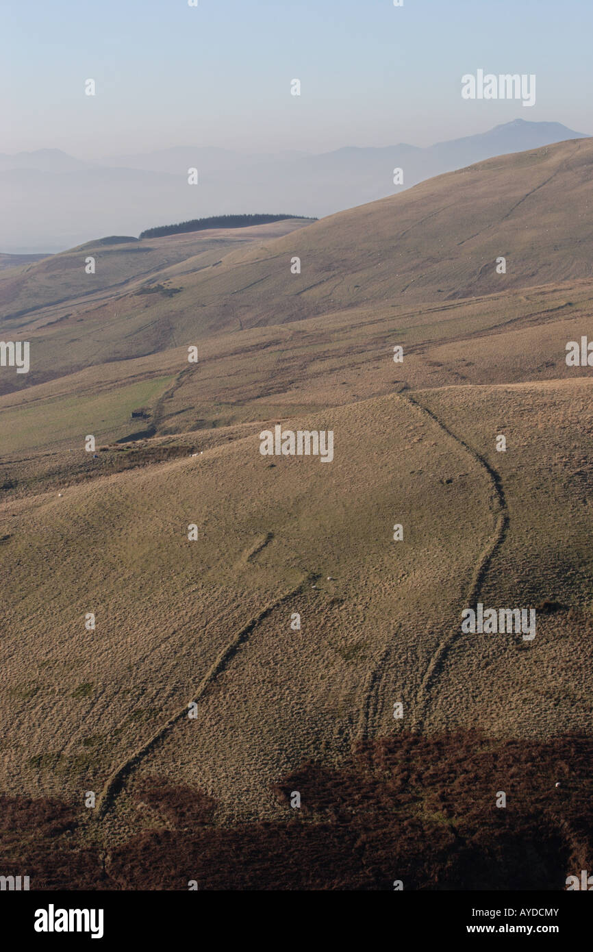 Westward across Menstrie Glen in the Ochils where extensive, well ...