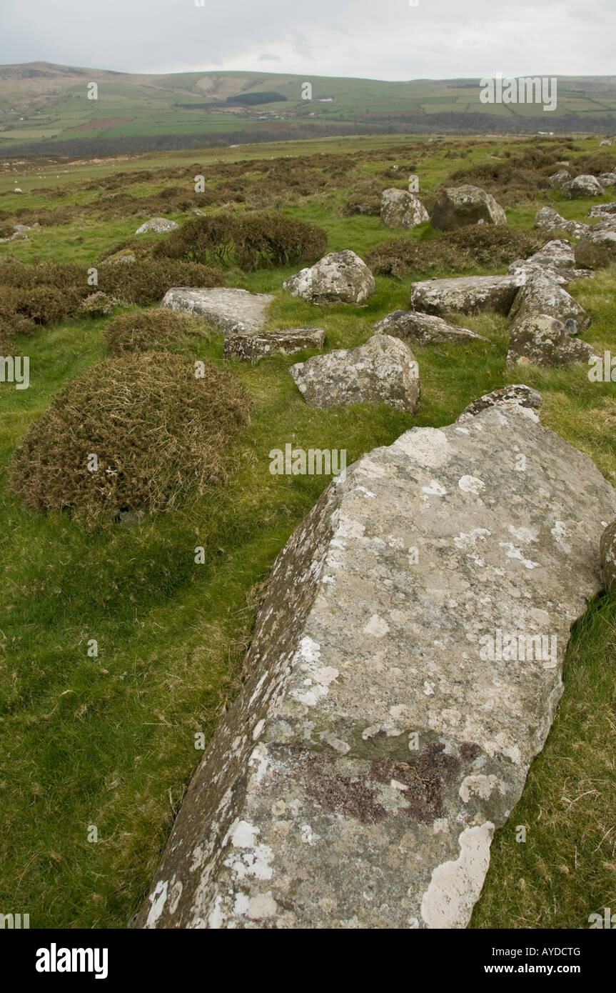 Carn ingli hi-res stock photography and images - Alamy