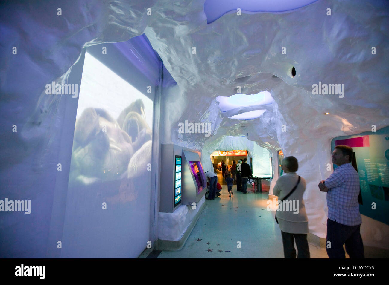 The Deep, Europe's deepest aquarium, in Hull, Yorkshire, UK Stock Photo ...