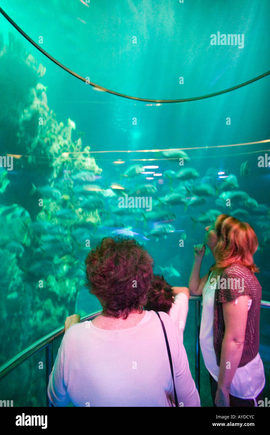 The Deep, Europe's deepest aquarium, in Hull, Yorkshire, UK Stock Photo ...