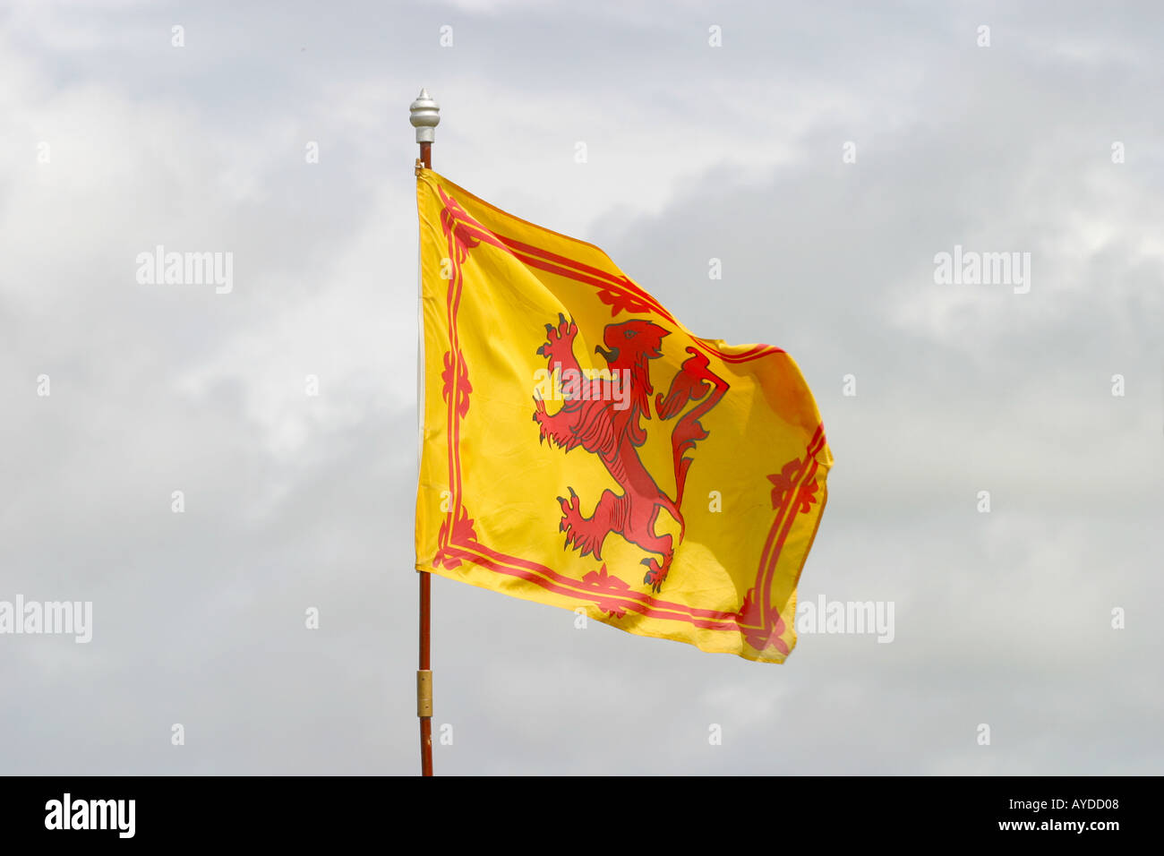 Lion rampant hi-res stock photography and images - Alamy