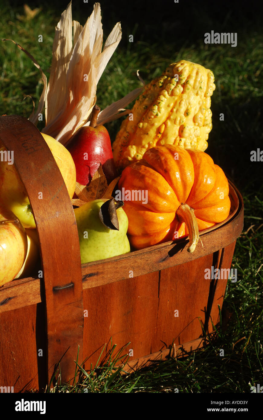 Vintage wooden fruit basket filled with autumn fruits and vegetables ...