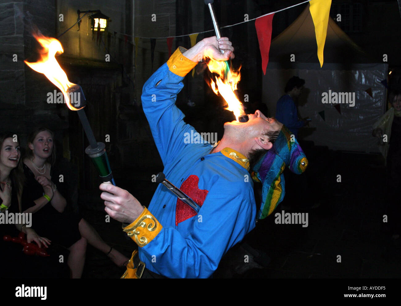 Court jester hi-res stock photography and images - Alamy