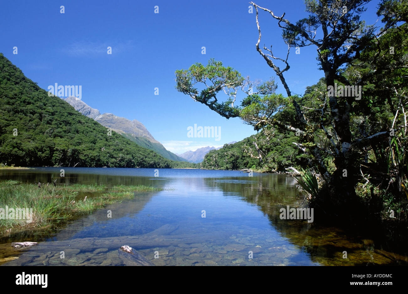 Lake Howden Fiordland National Park Southland South Island New Zealand ...