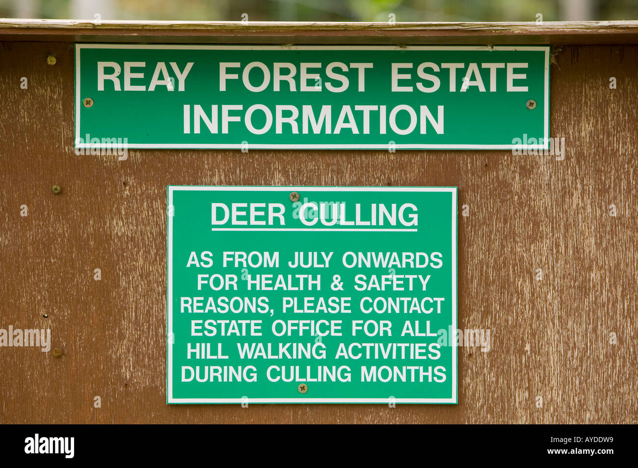 Reaf forest hi-res stock photography and images - Alamy