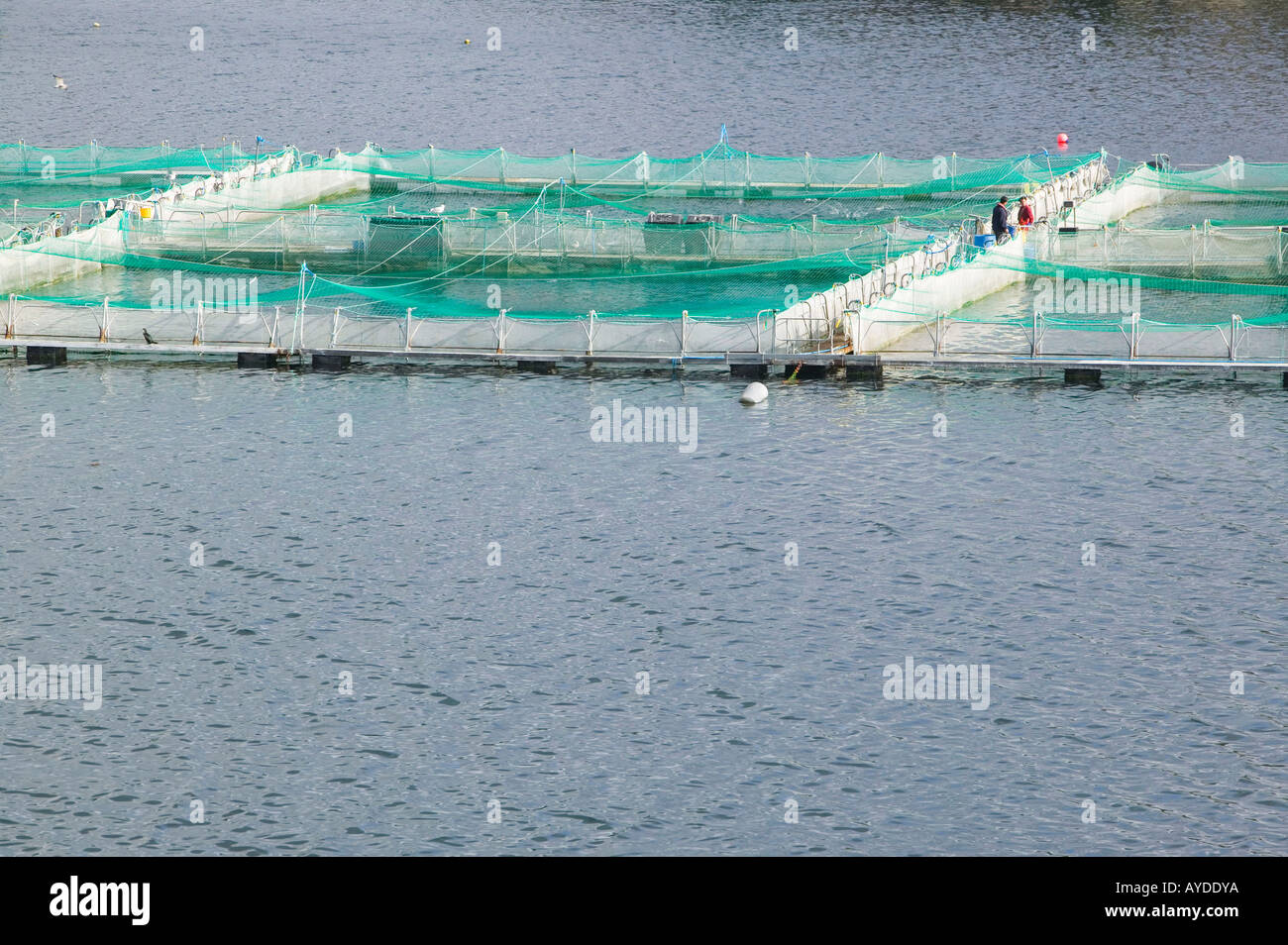 Sutherland food fish hi-res stock photography and images - Alamy
