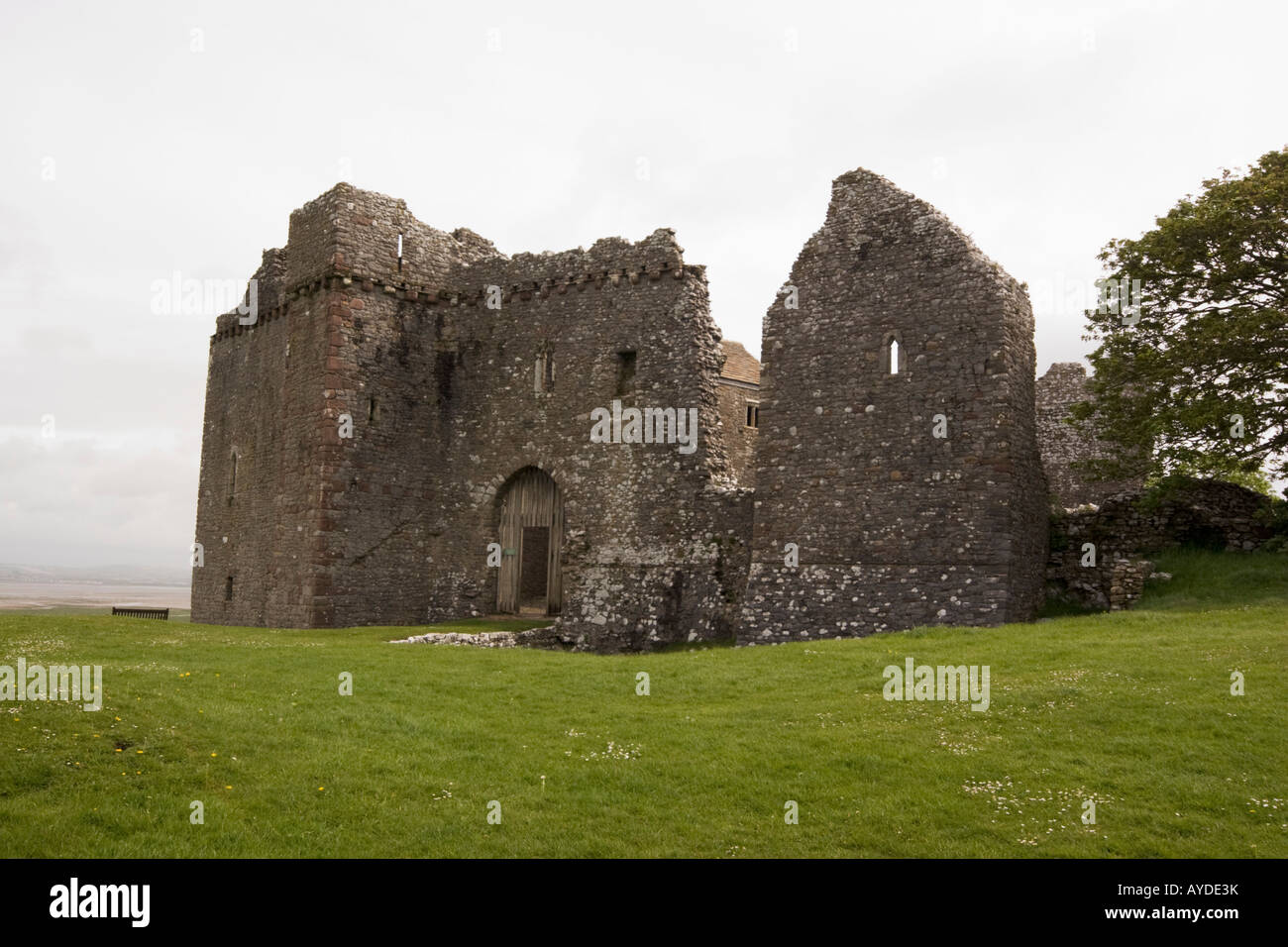 Weobley Castle Llanrhidian Marsh Gower Peninsula Wales Stock Photo - Alamy