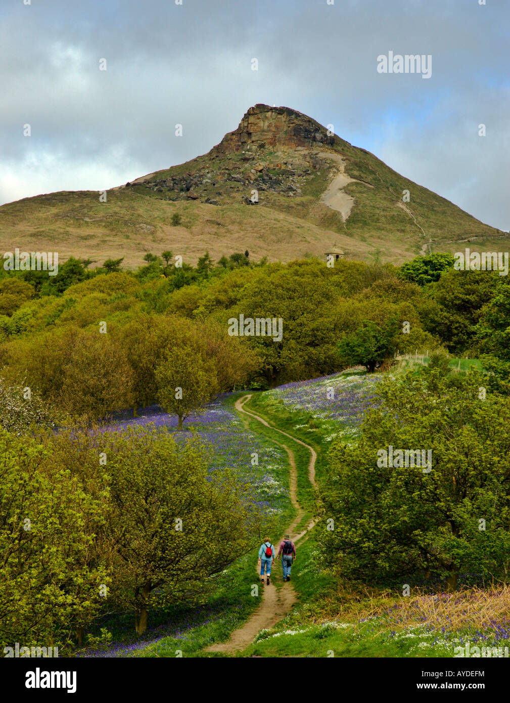 Roseberry Topping, North Yorkshire Stock Photo - Alamy