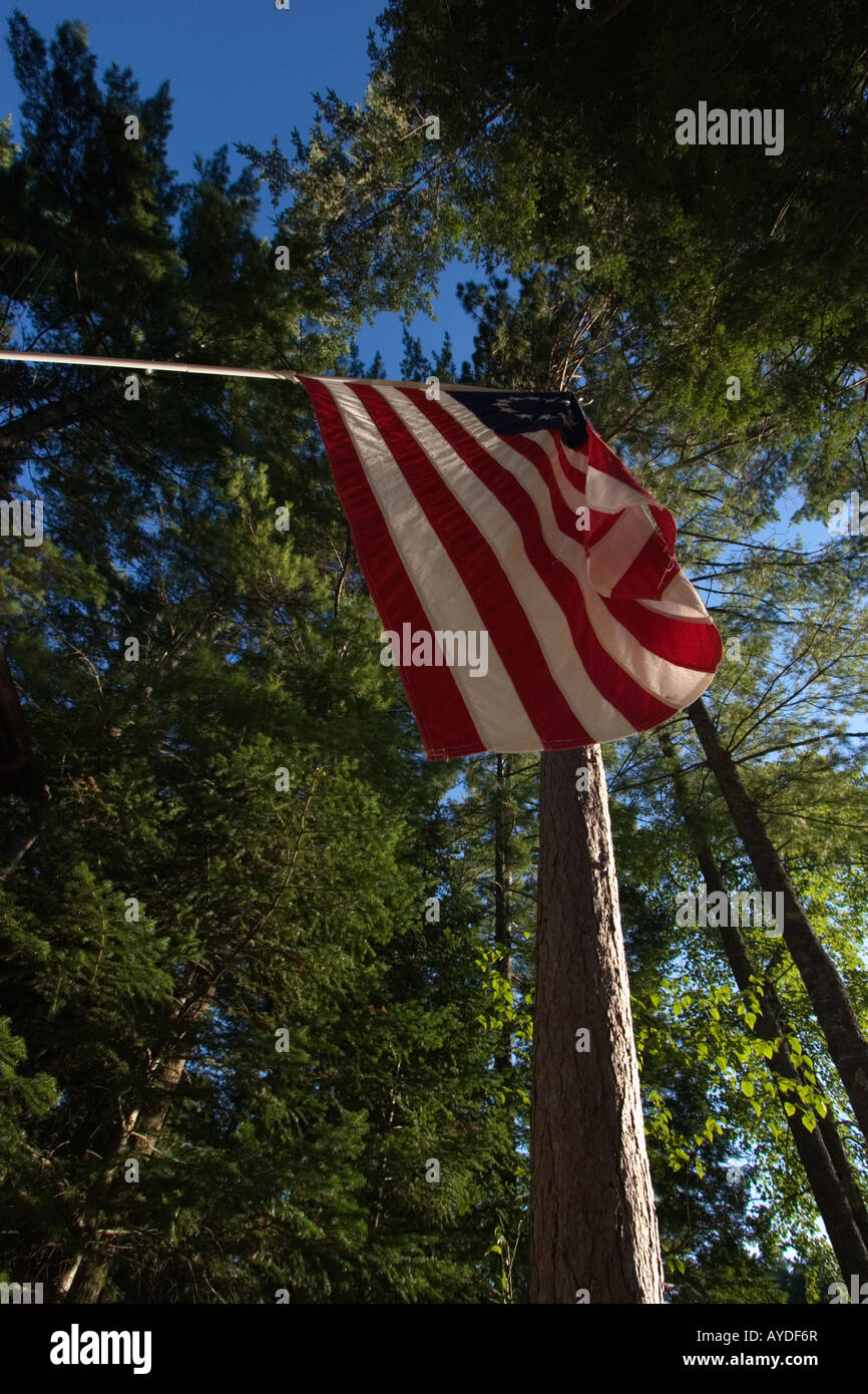 Looking up at the American flag Stock Photo - Alamy