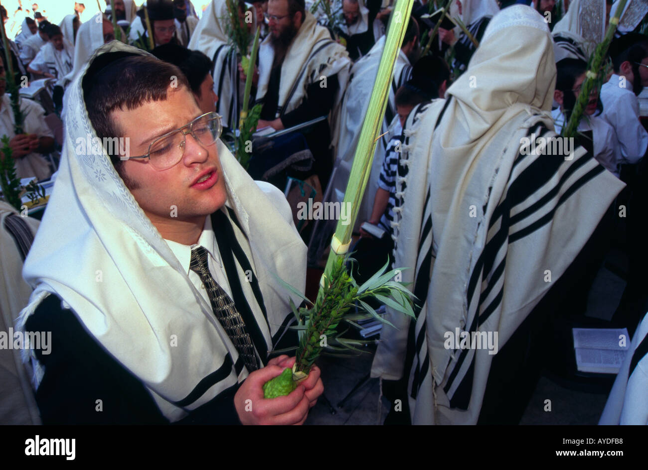Israel Jerusalem Old City Western Wall Jew praying with Lulav and ...
