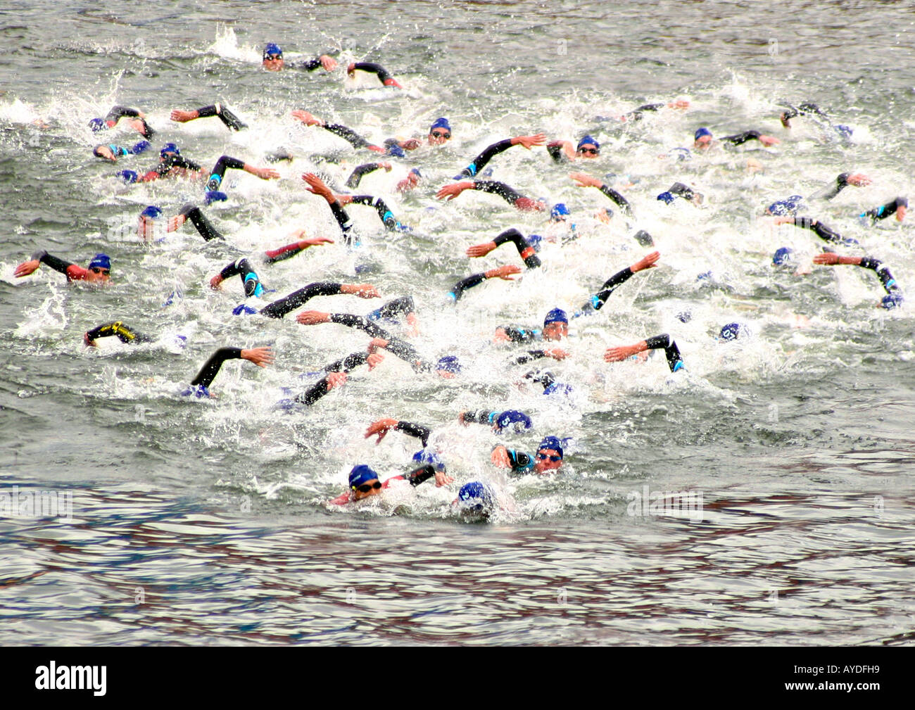 Triathlon swimmers leader hi-res stock photography and images - Alamy