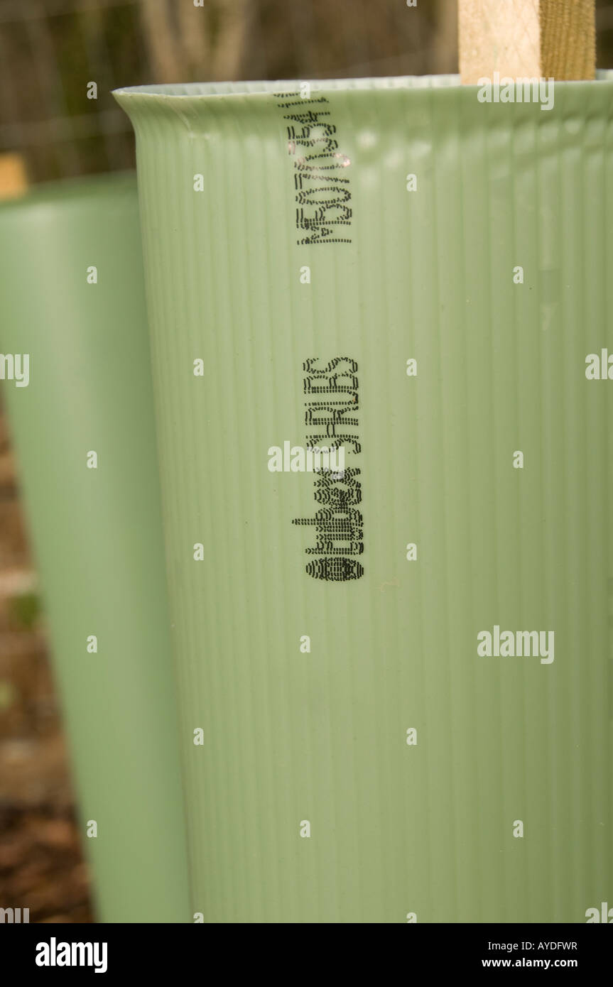 Young tree with a tree protection tube hi-res stock photography and ...