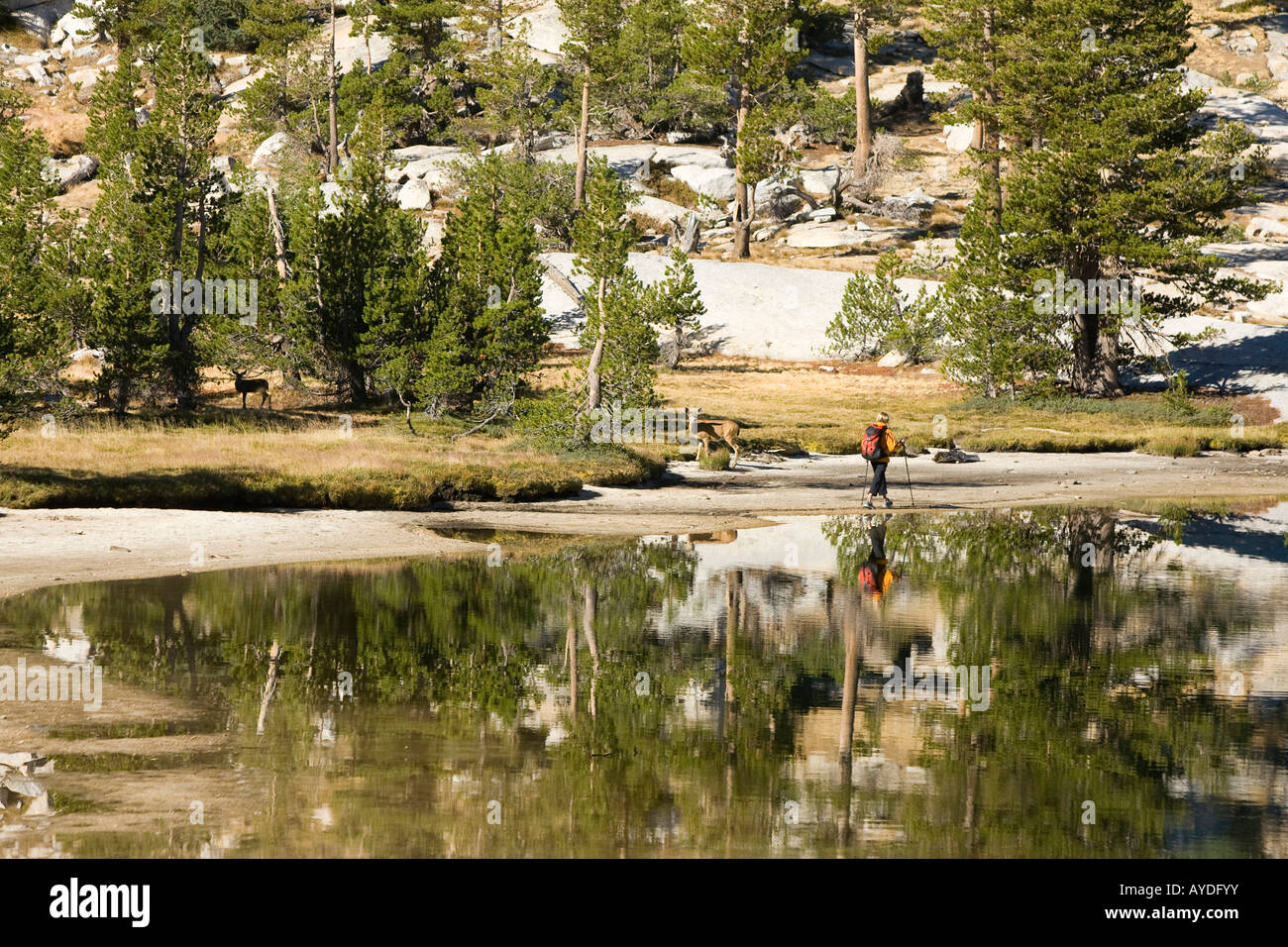 Alicia adventure hi-res stock photography and images - Alamy