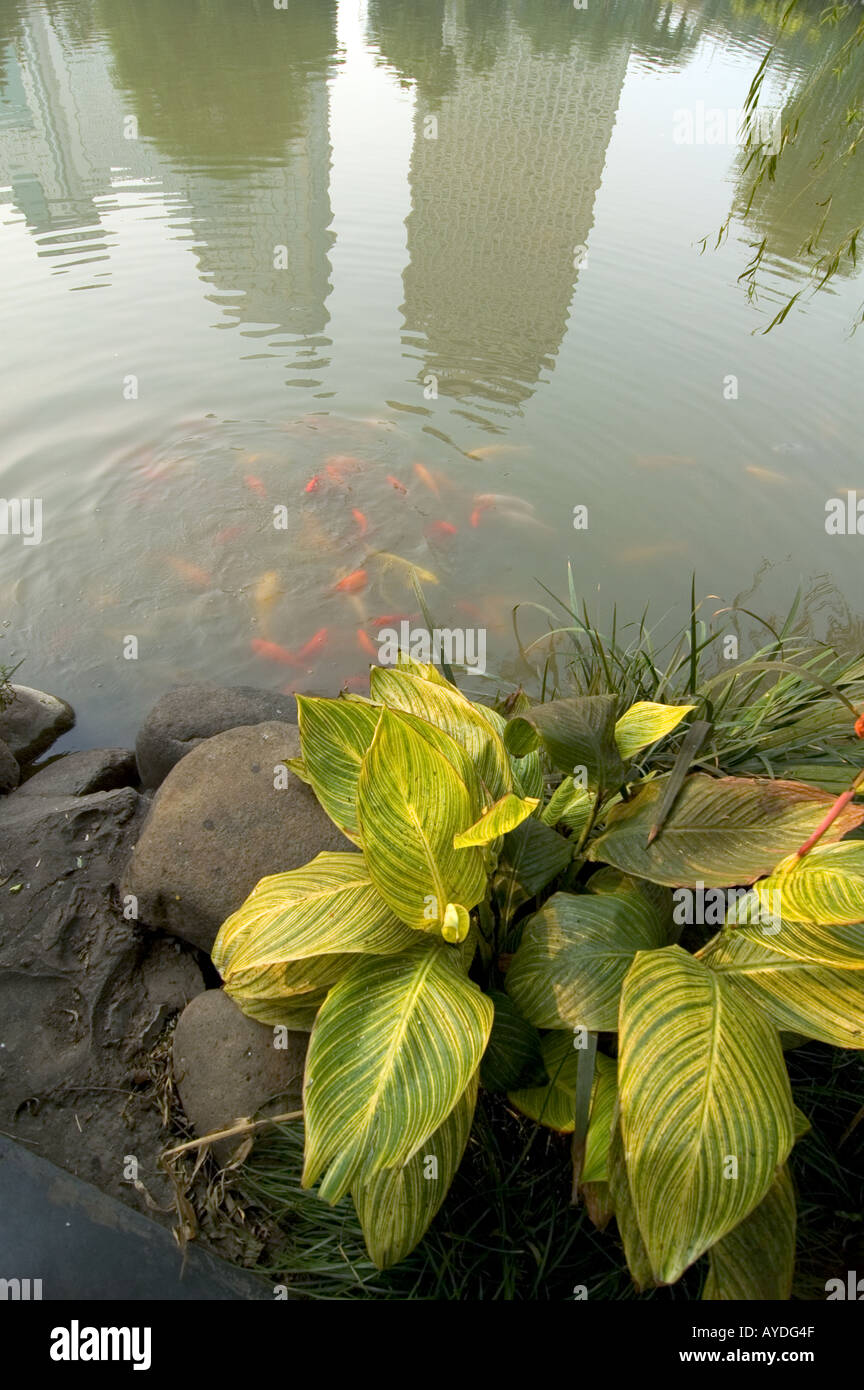 Original invert inverted reflection city hi-res stock photography and ...