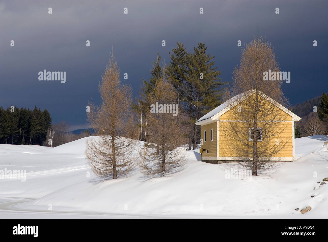 Yellow house and trees in snowy Vermont USA Stock Photo - Alamy