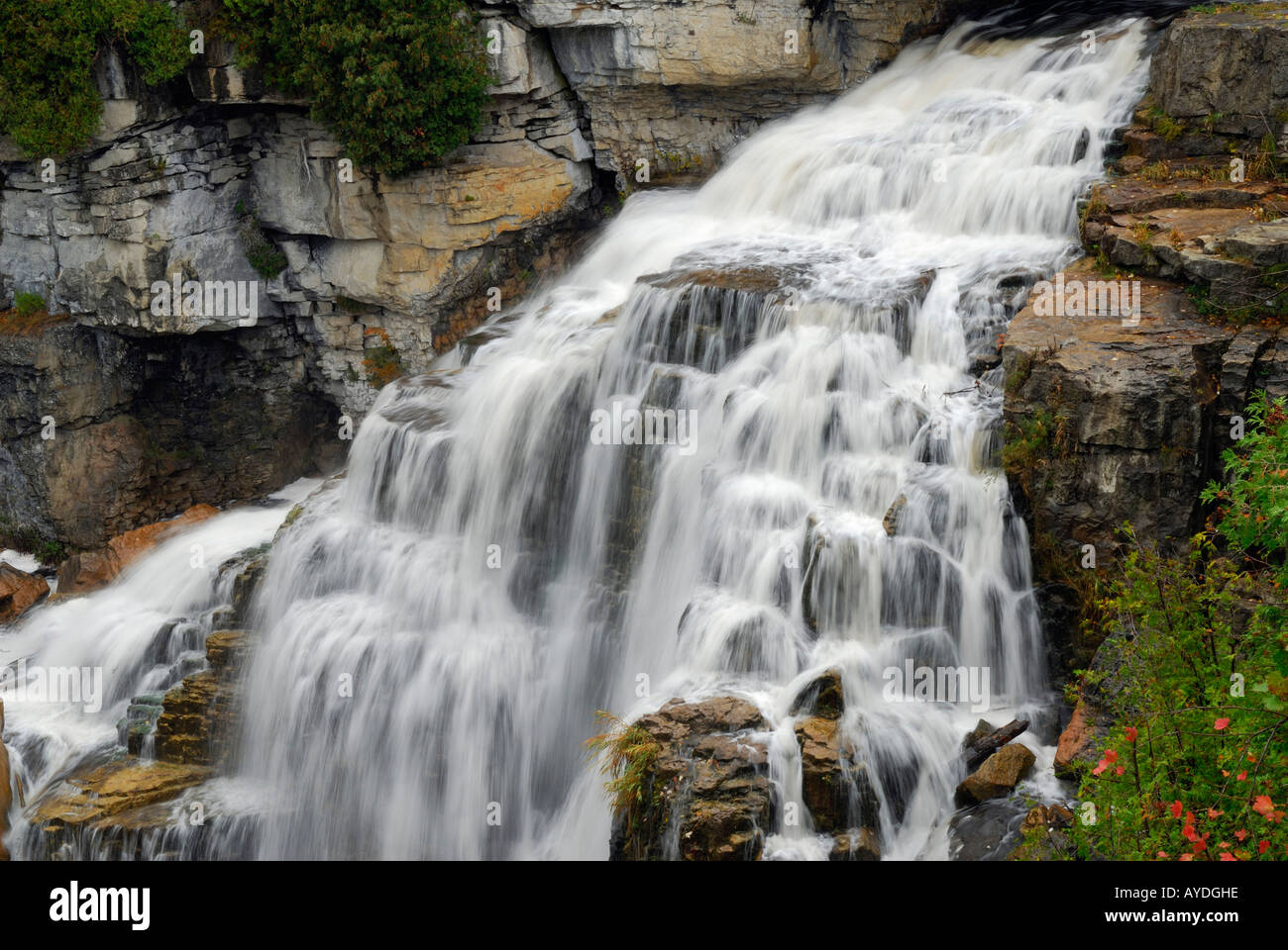 Inglis falls trail hi-res stock photography and images - Alamy