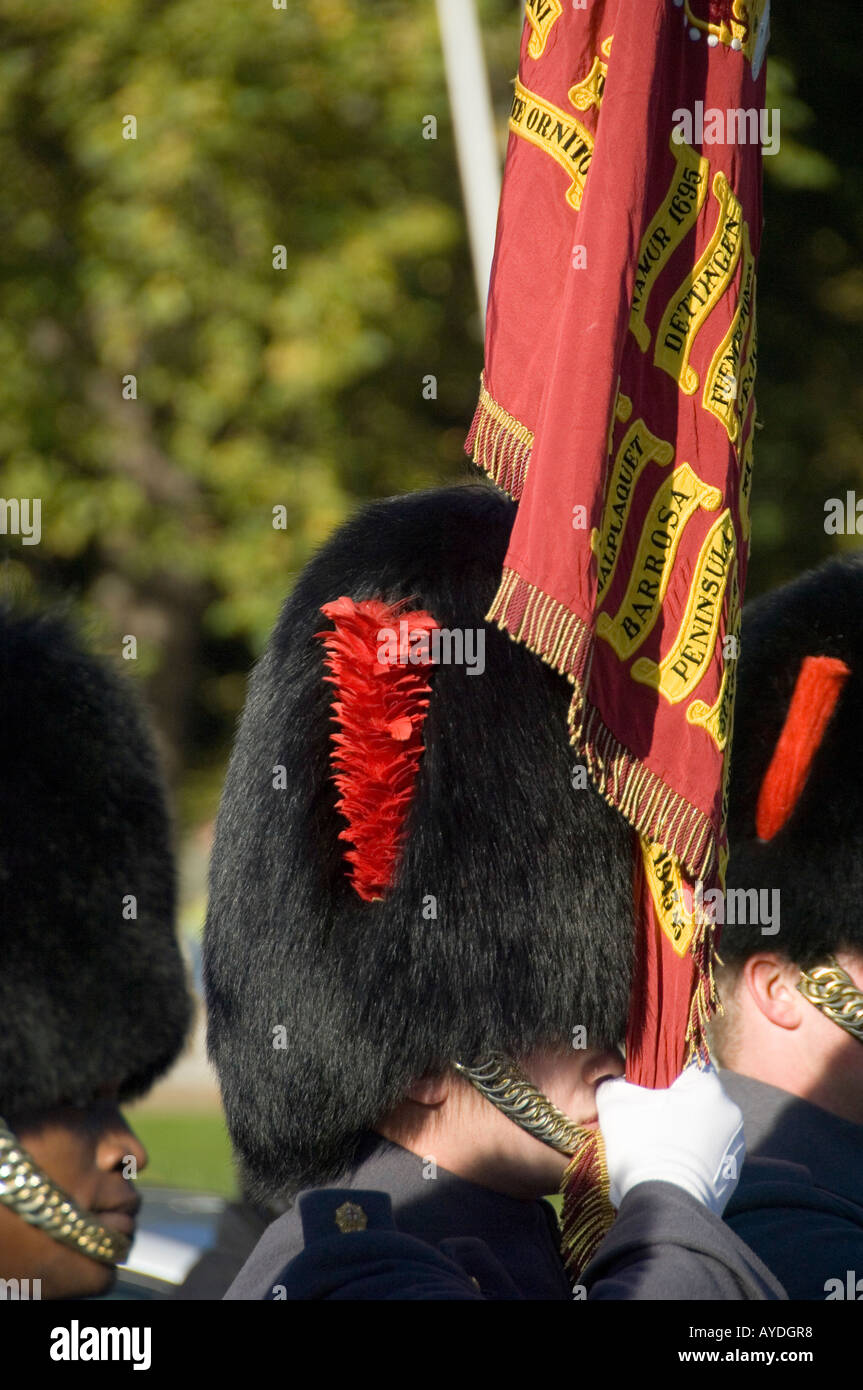 Coldstream guardsman with the regimental colour during the changing of ...