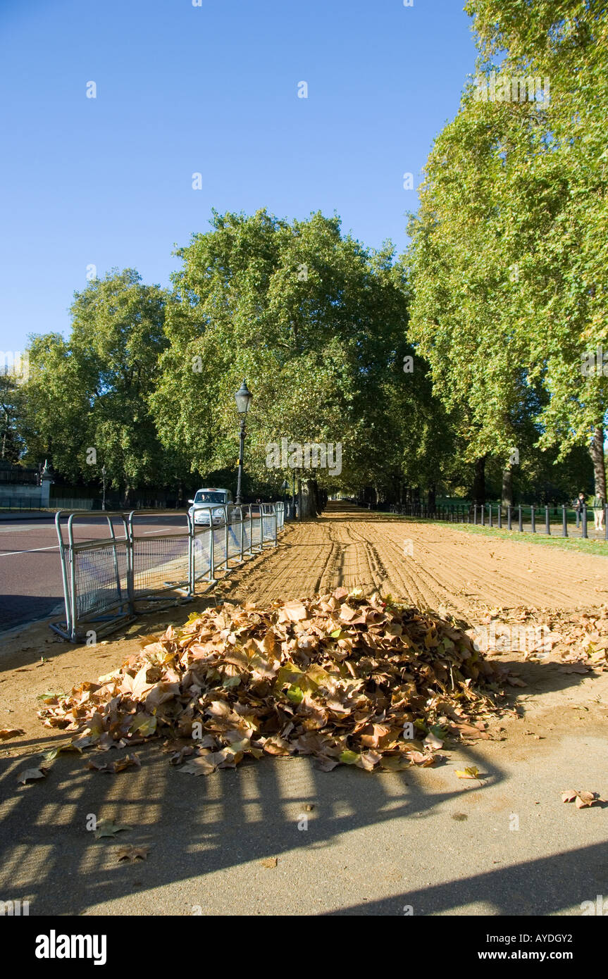 Swept leaves hi-res stock photography and images - Alamy