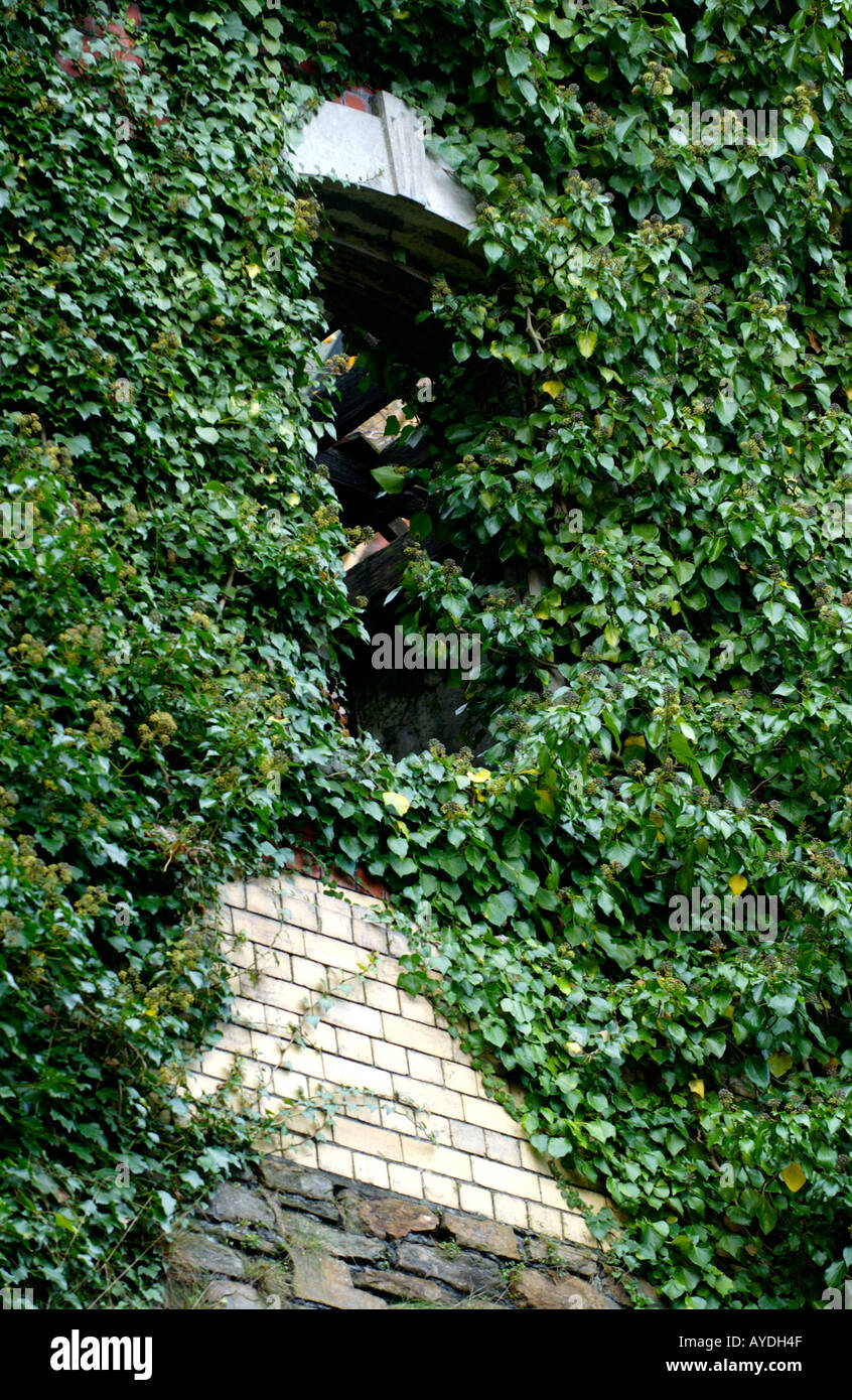 Navigation Colliery dating from 1907 derelict in the village of Crumlin ...
