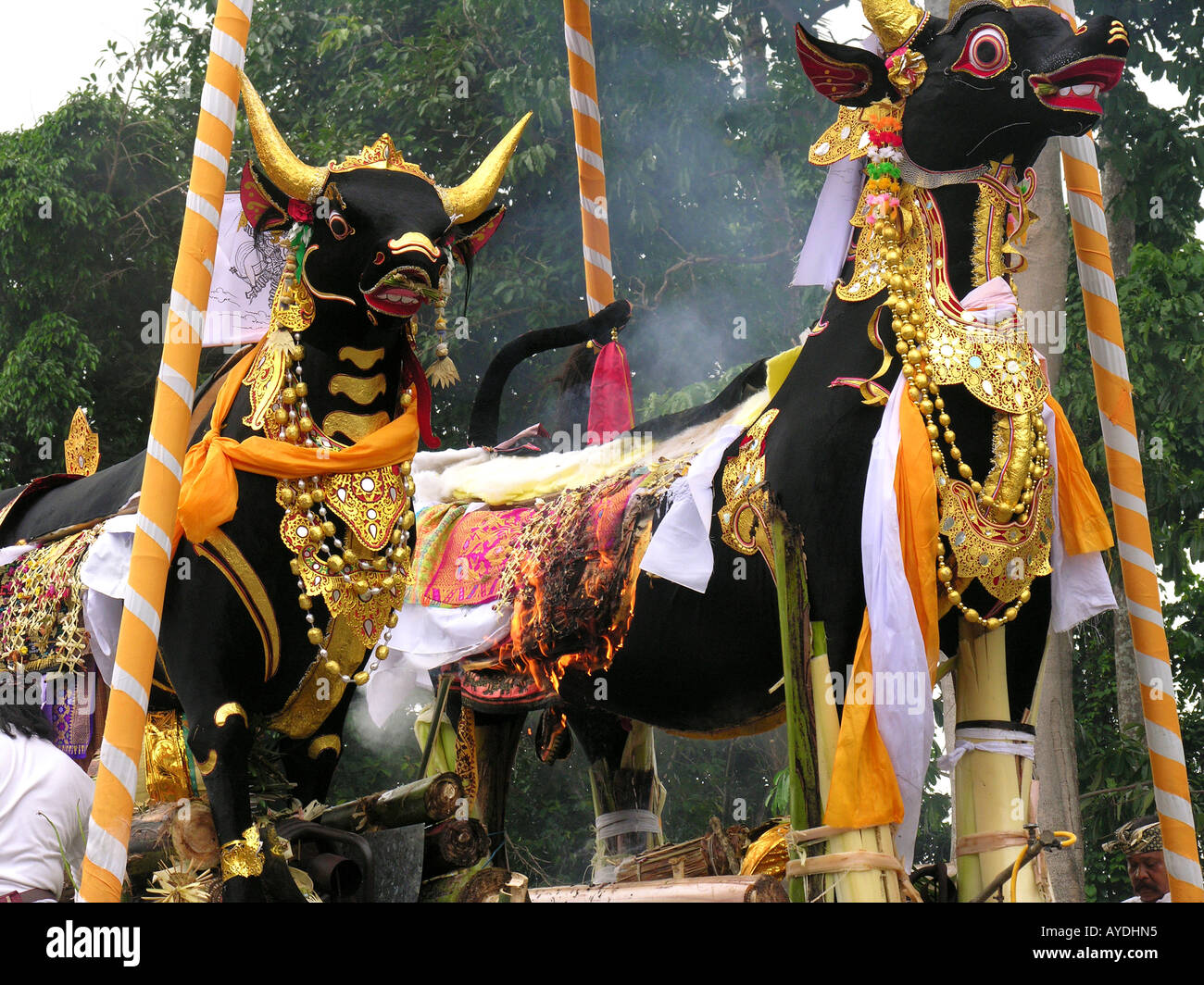 Burning cow shaped sarcophagi at cremation in Ubud Bali Indonesia ...