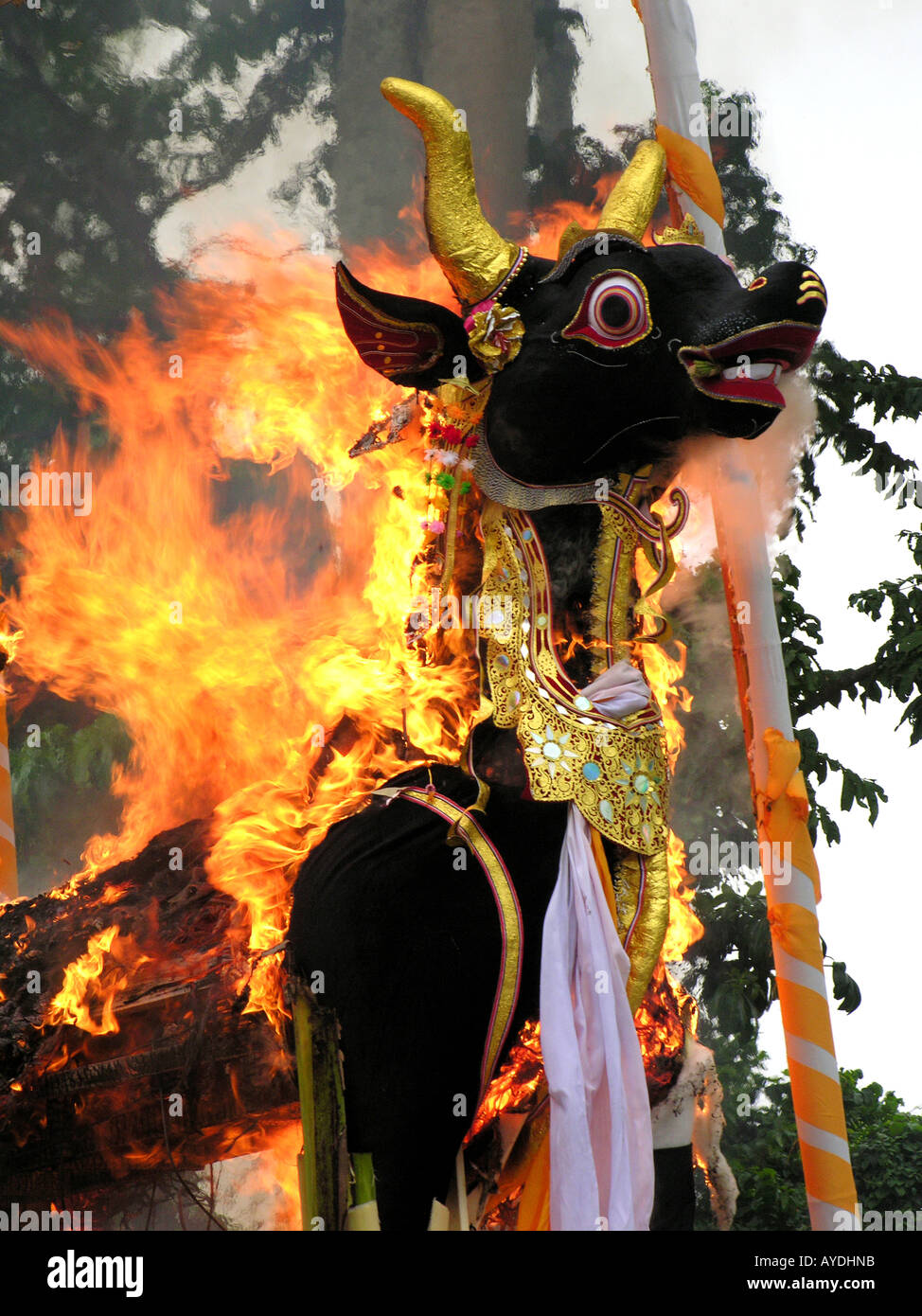 Burning cow shaped sarcophagi at cremation in Ubud Bali Indonesia ...
