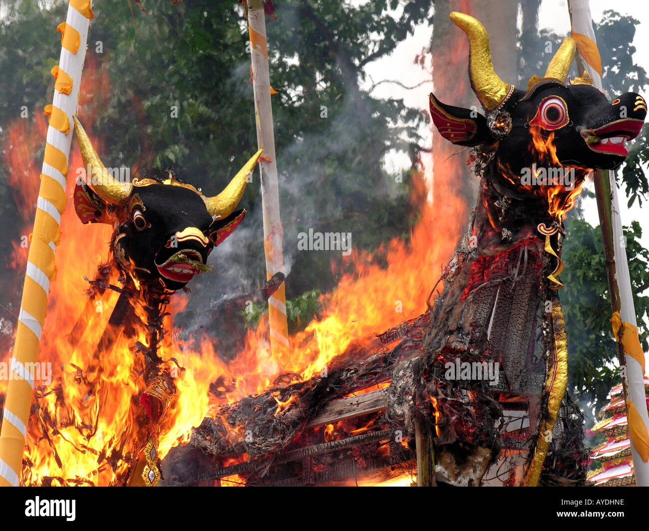 Burning cow shaped sarcophagi at cremation in Ubud Bali Indonesia ...