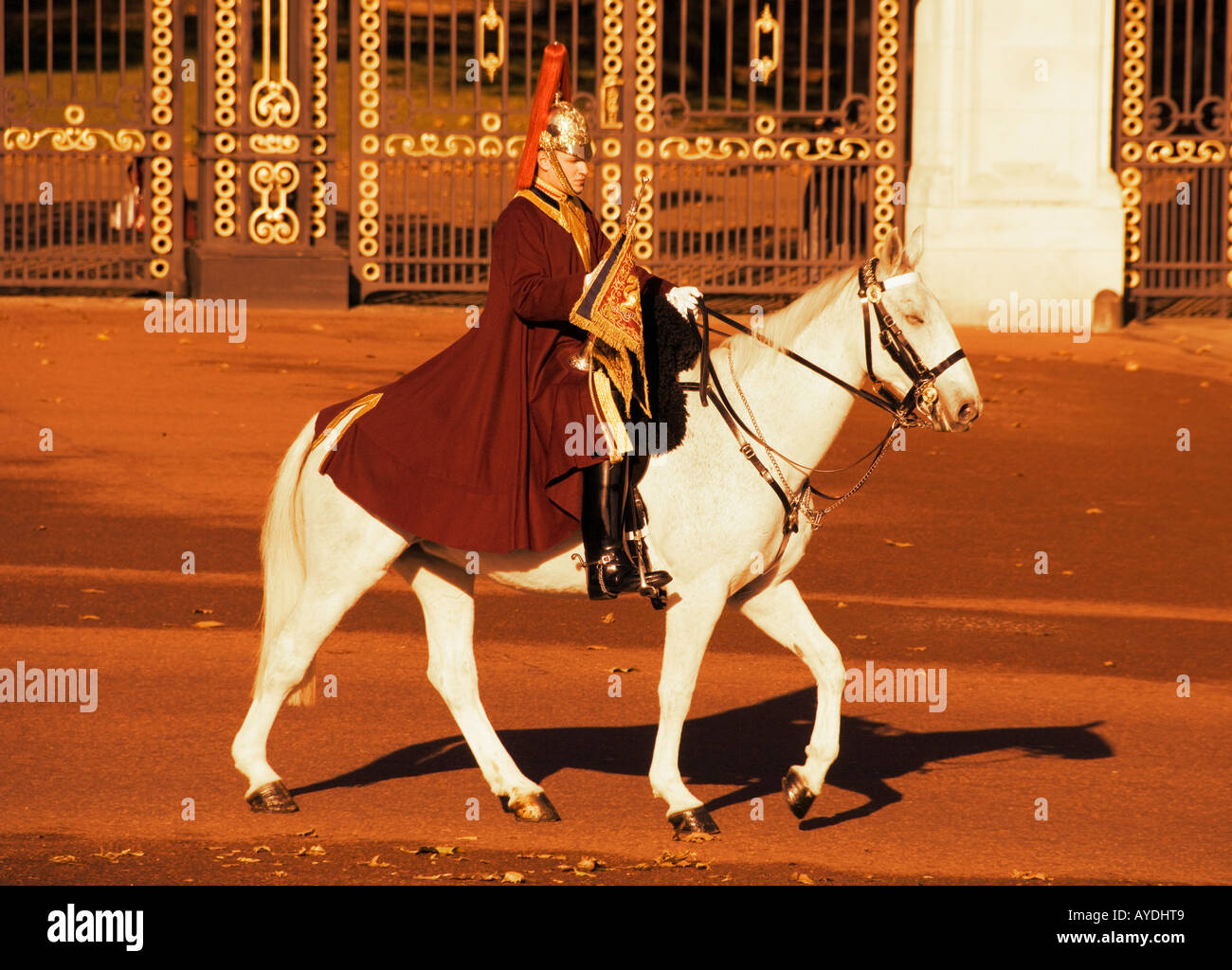 Cavalry bugler hi-res stock photography and images - Alamy