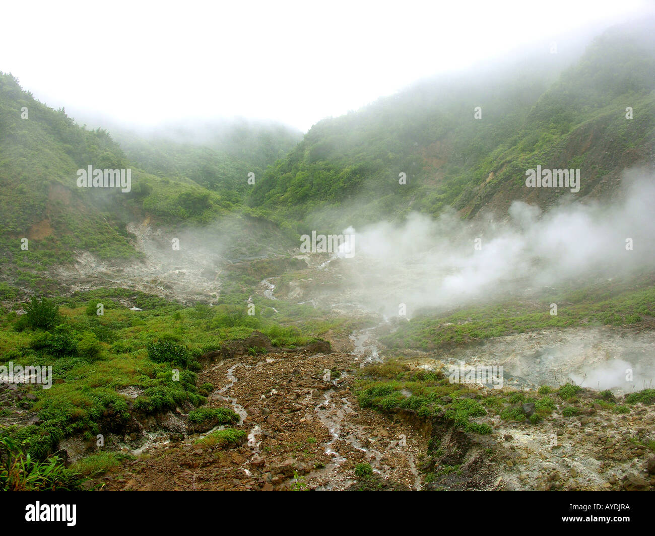 Valley of desolation, dominica hi-res stock photography and images - Alamy