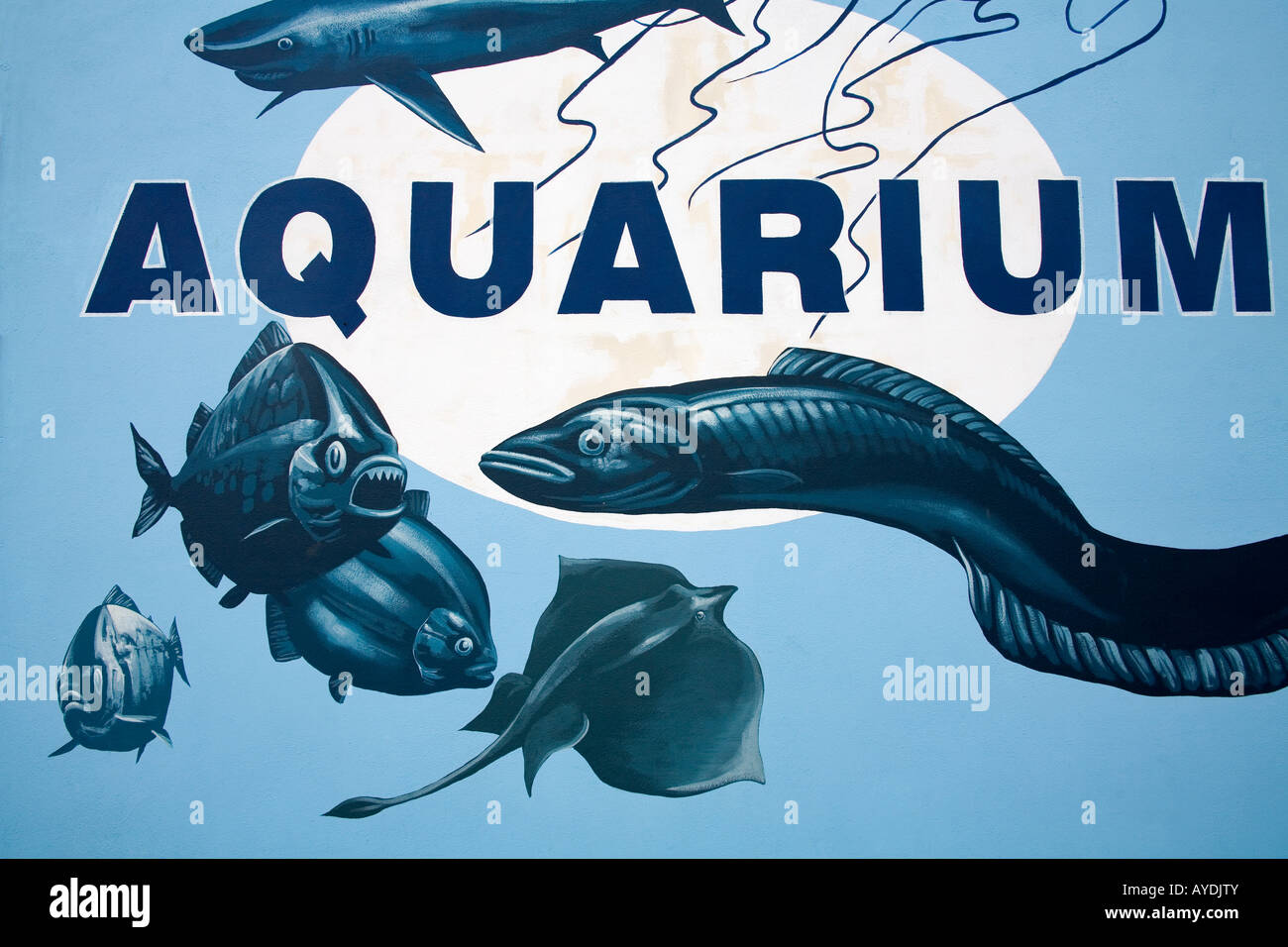 Mural on Aquarium Dingle Town Dingle Peninsula County Kerry Ireland ...