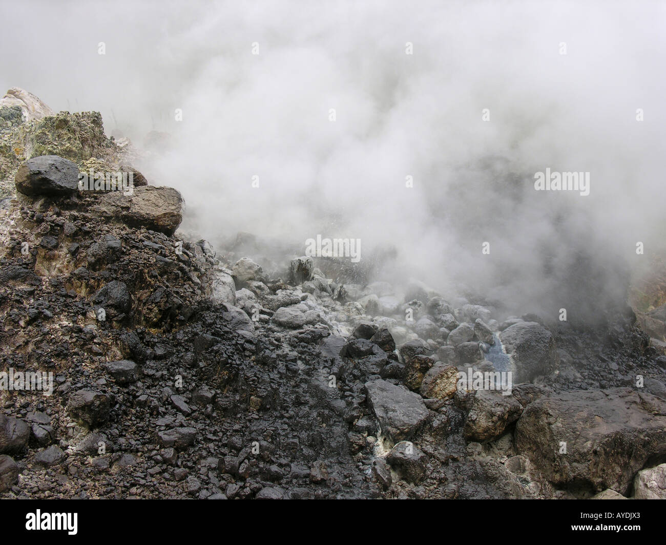 The Valley of Desolation a moss covered volcanic landscape of steaming ...