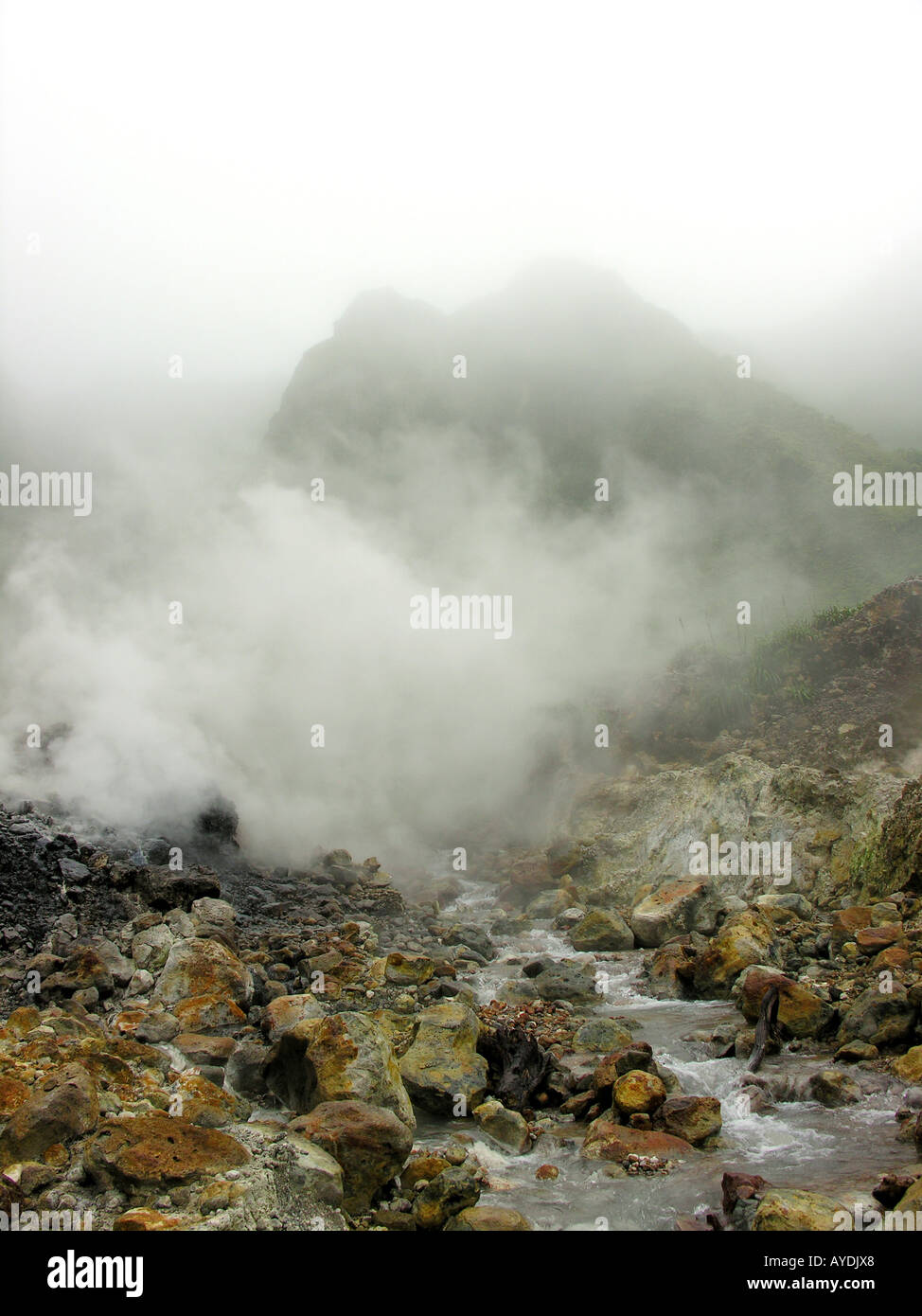 The Valley of Desolation a moss covered volcanic landscape of steaming ...