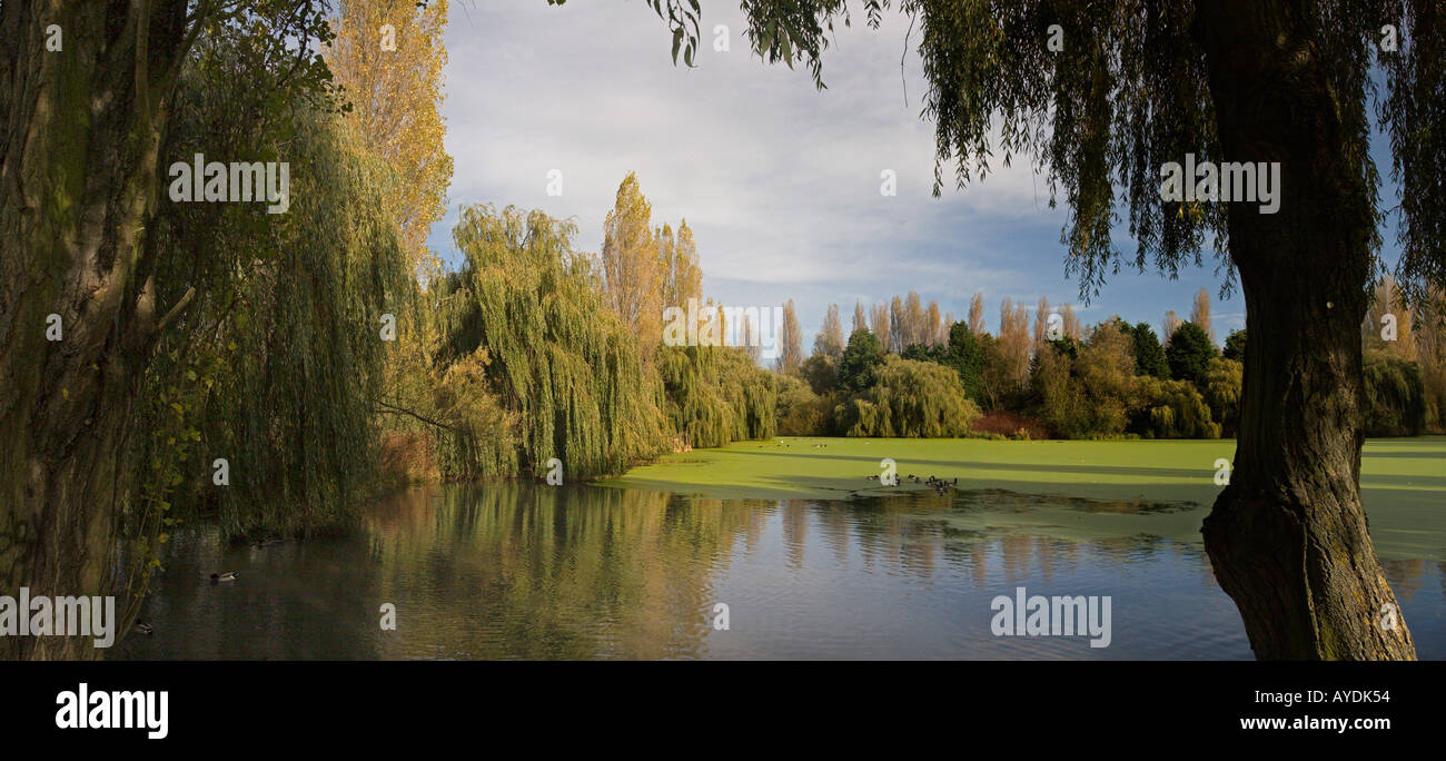 Colchester autumn scene along the river Colne Stock Photo - Alamy